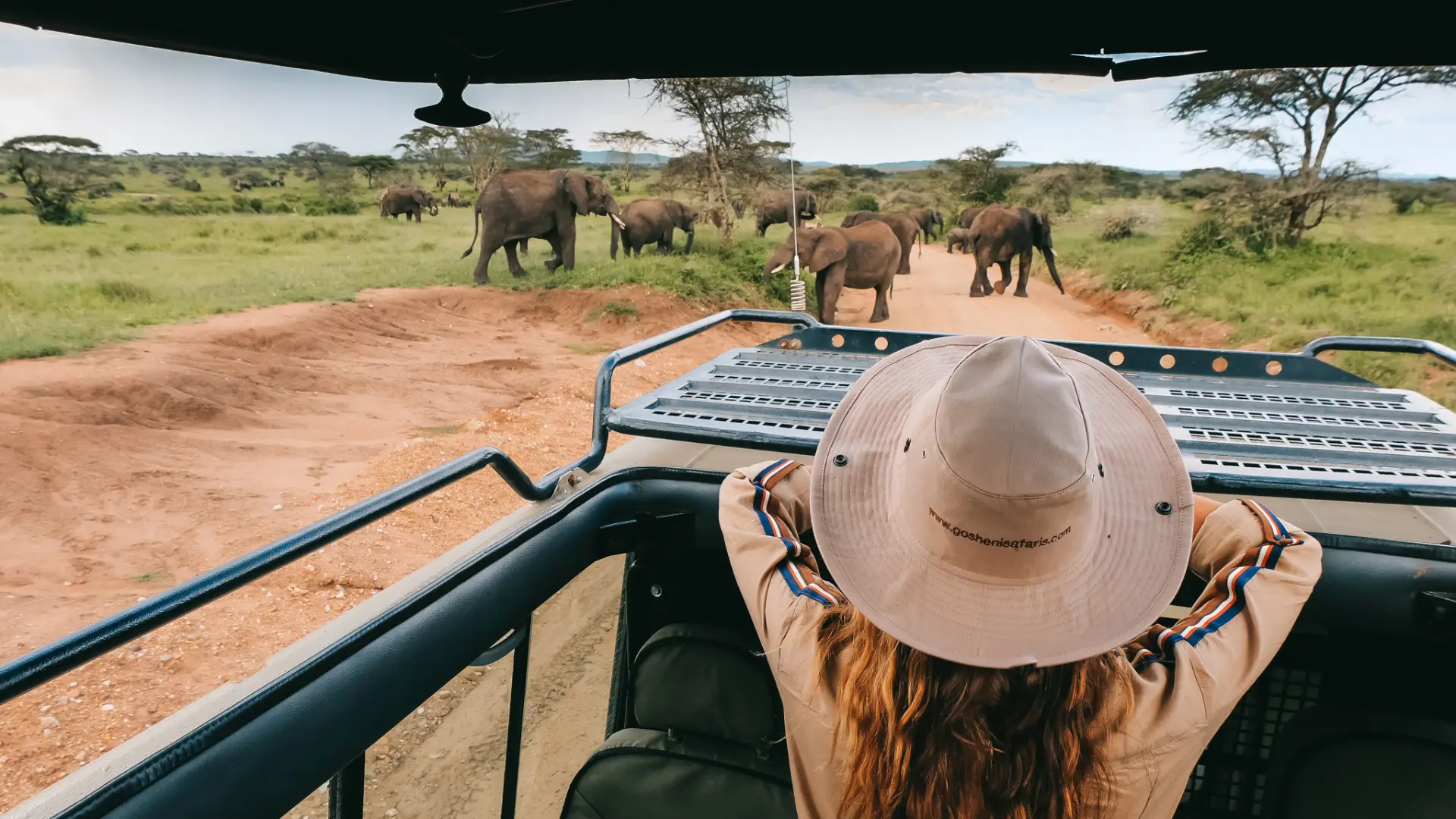 Common Mistakes Made on an African Safari | Gosheni Safaris