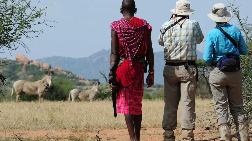 7 Day Tanzania Wilderness Safari | Gosheni Safaris