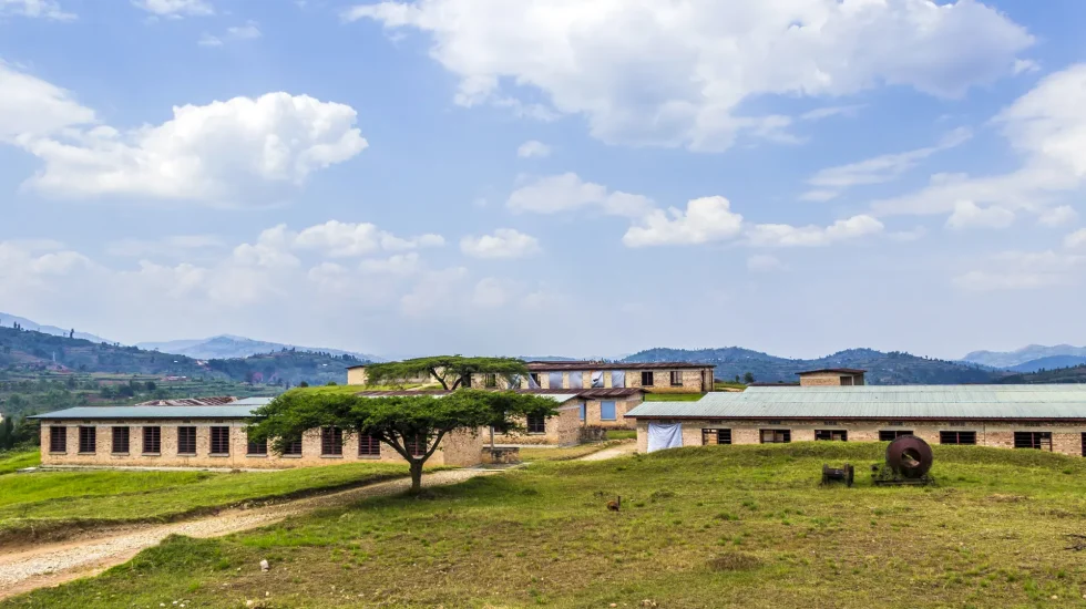 10 Days Discover Rwanda Tour | Gosheni Safaris